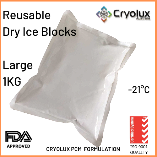 Reusable Medical Food Grade Dry Ice pack for Cold Chain Management
