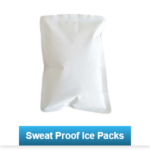 Dry Ice Packs Insulated Cooler Bag Mailers Shippers Pallet Cover VIP